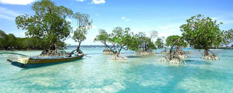 Andaman with Neil Island Tour